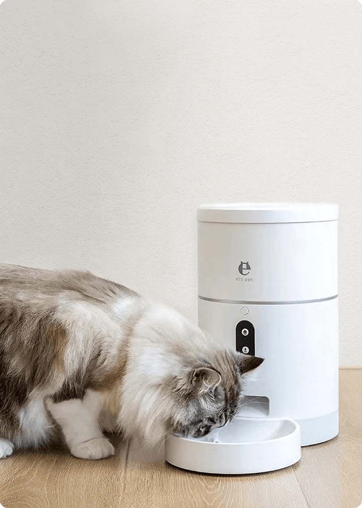 elspet Katzentoilette